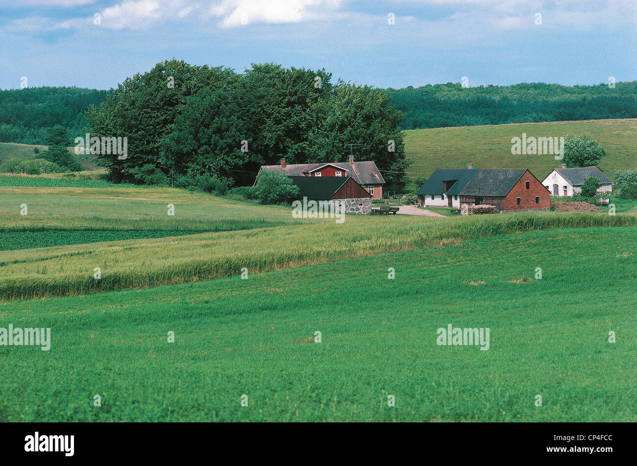 Sweden Scania Farm Stock Photo - Alamy