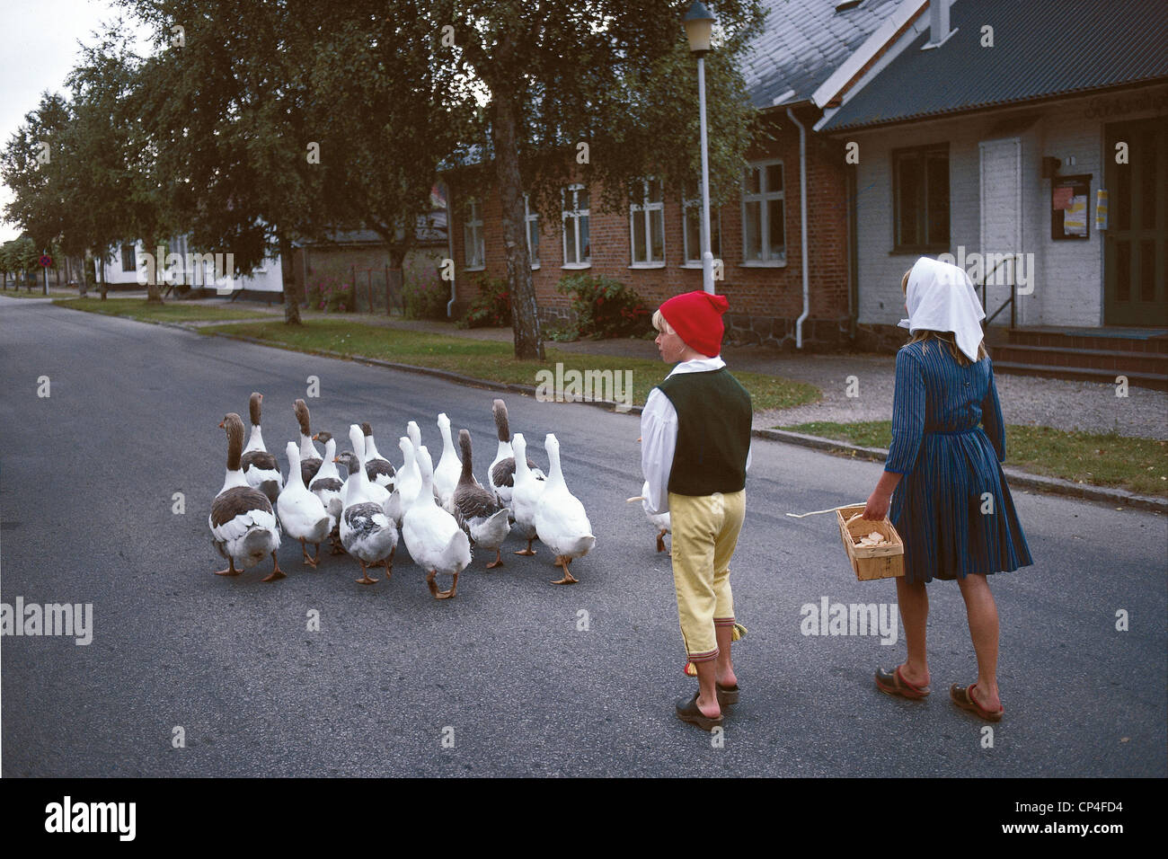 Sweden - Scania, children breeders of geese Stock Photo - Alamy