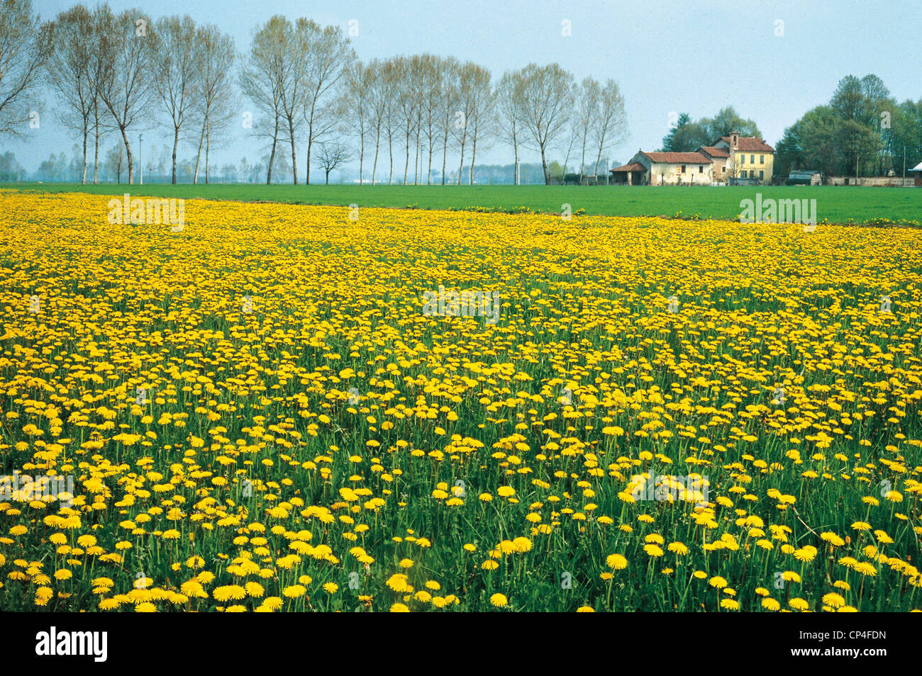 Piedmont Landscape Spring In The Province Of Cuneo Stock Photo - Alamy
