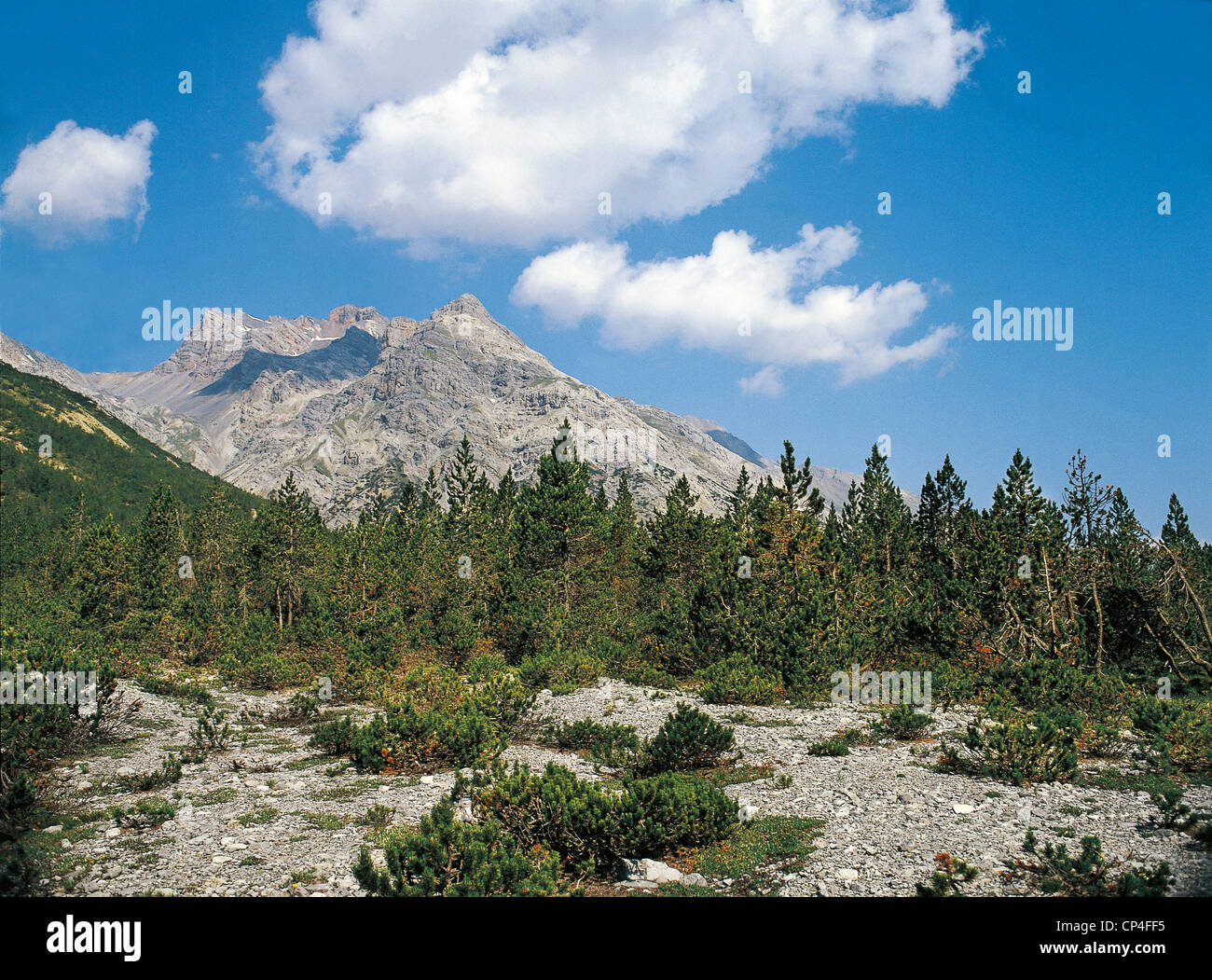 Lombardia - Parco Nazionale dello Stelvio - Val del Gallo (So ...