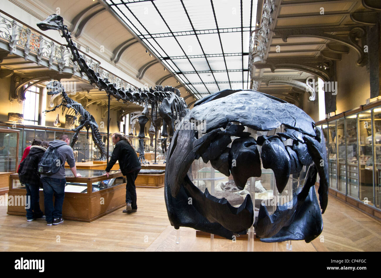 Museum of natural history of Paris. Three visitants in dinosaurs hall ...