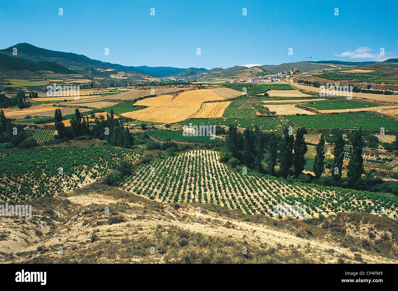 Aragon campaign hi-res stock photography and images - Alamy