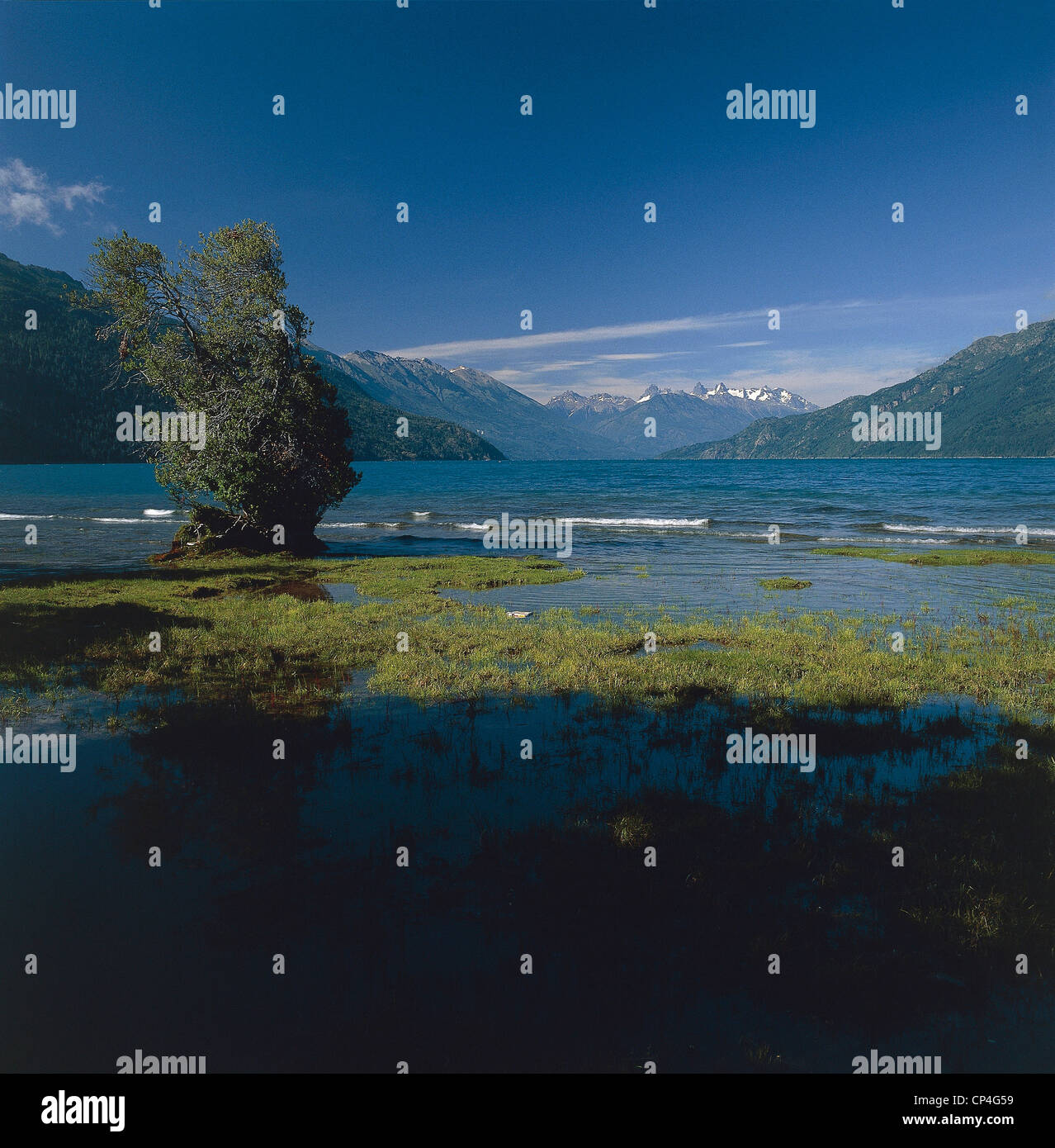 Parque nacional lago puelo hi-res stock photography and images - Alamy