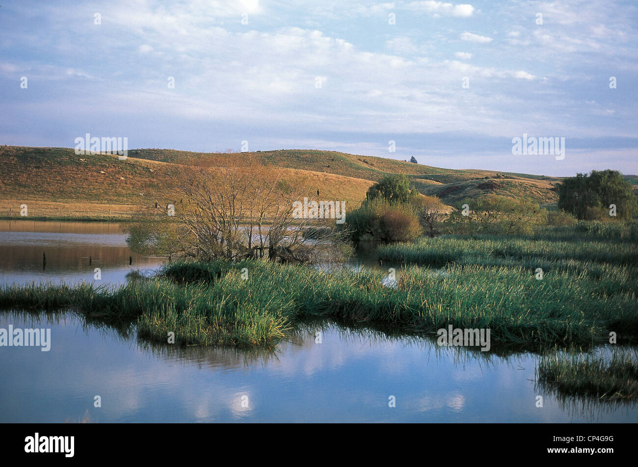 New Zealand - Laguna near Napier Stock Photo - Alamy
