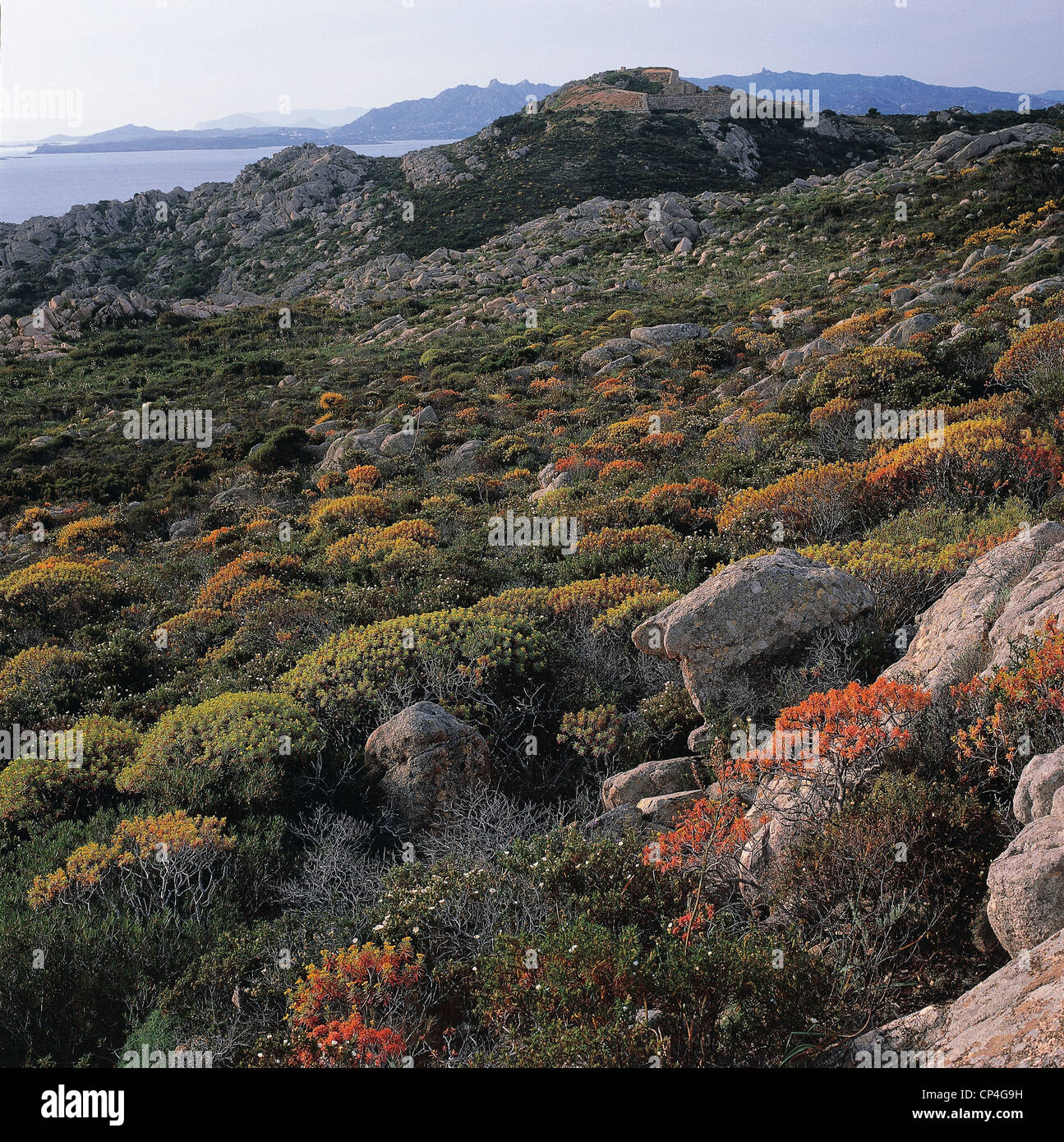 Sardinia National Park of La Maddalena, Caprera Island, Mediterranean ...
