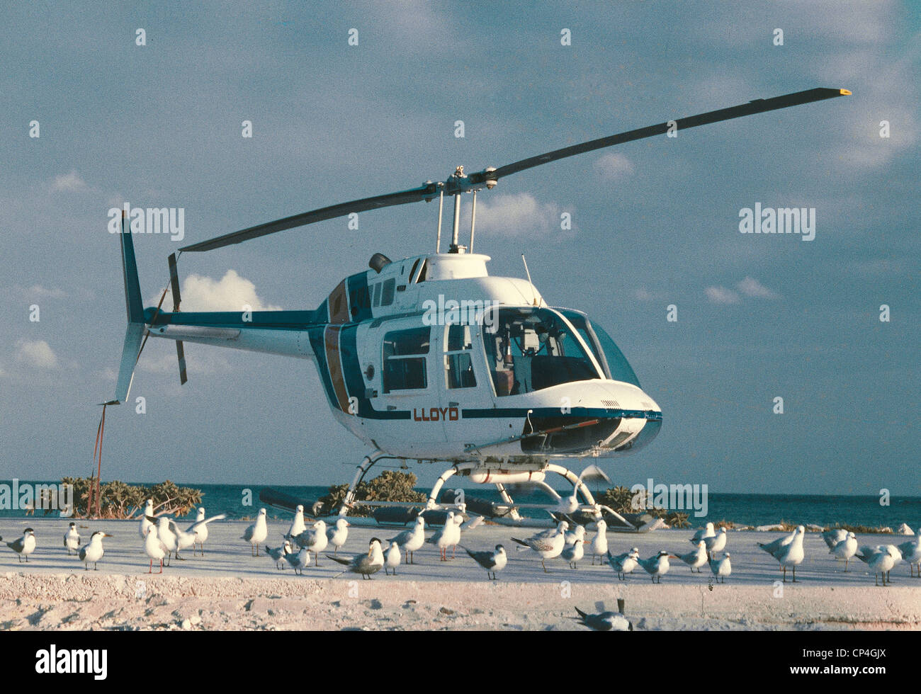Australia - Great Barrier Reef - Heron Island, helicopter beach Stock ...