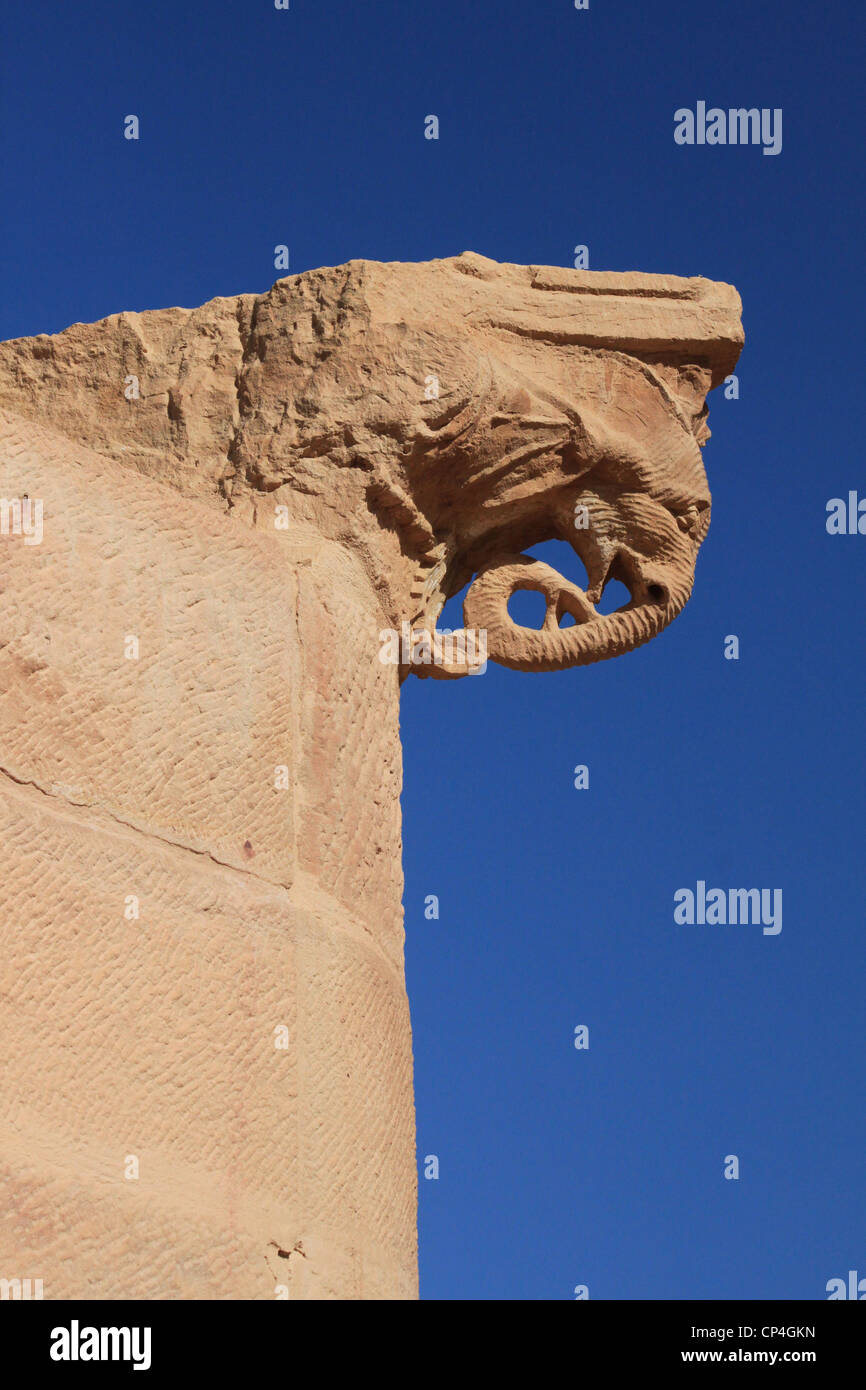 Elephant headed hi-res stock photography and images - Alamy