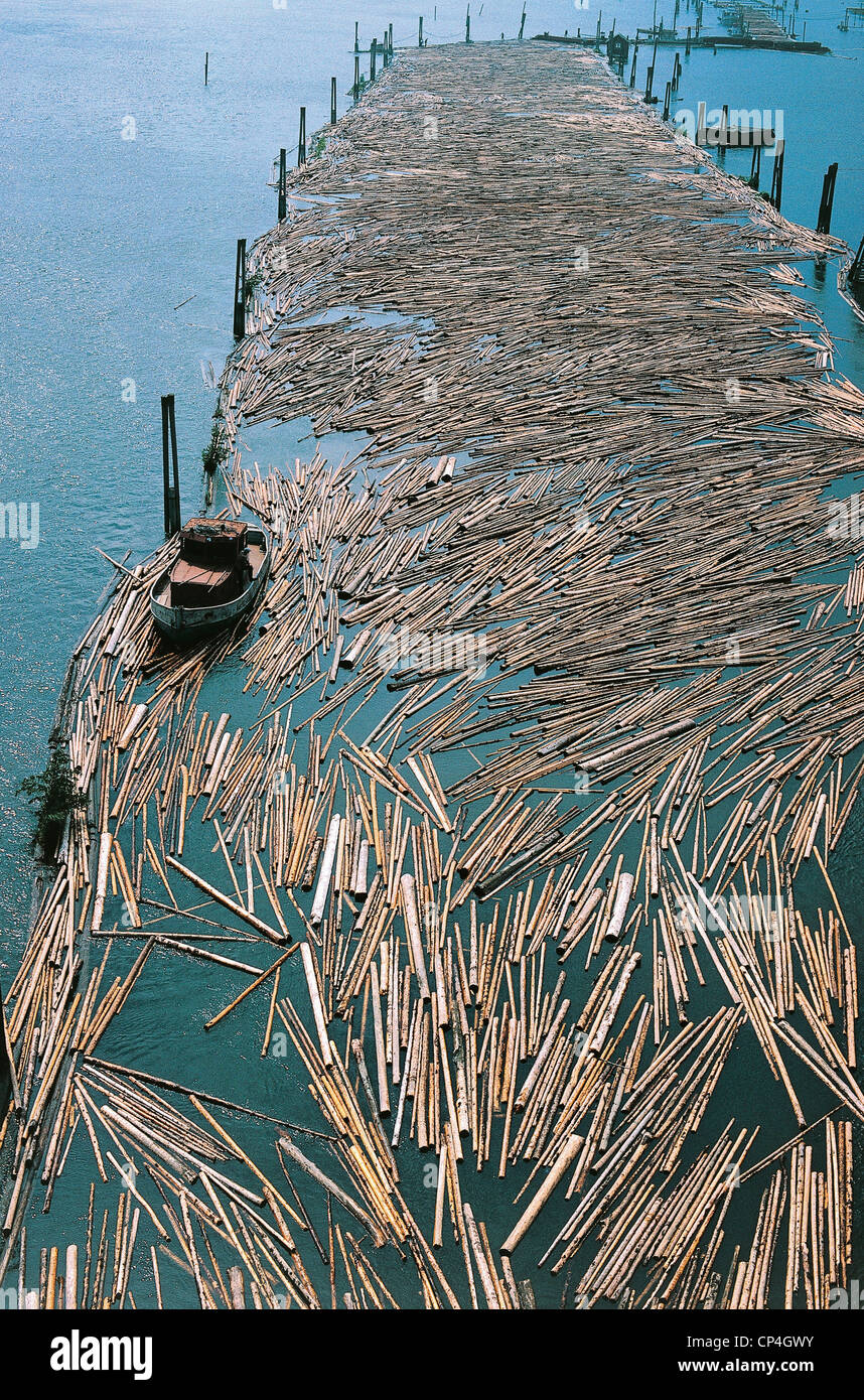 NORWAY rafting TIMBER Stock Photo - Alamy