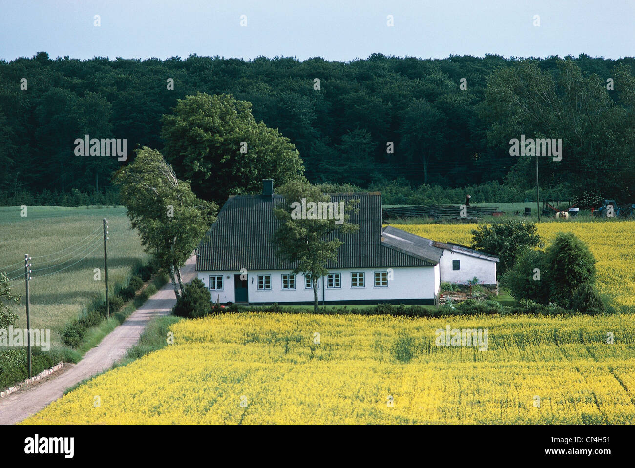 Denmark - Island of Funen (Fyn). Farm Stock Photo - Alamy