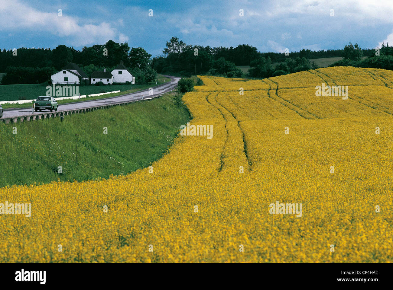 Denmark - Fyn, crops Stock Photo - Alamy