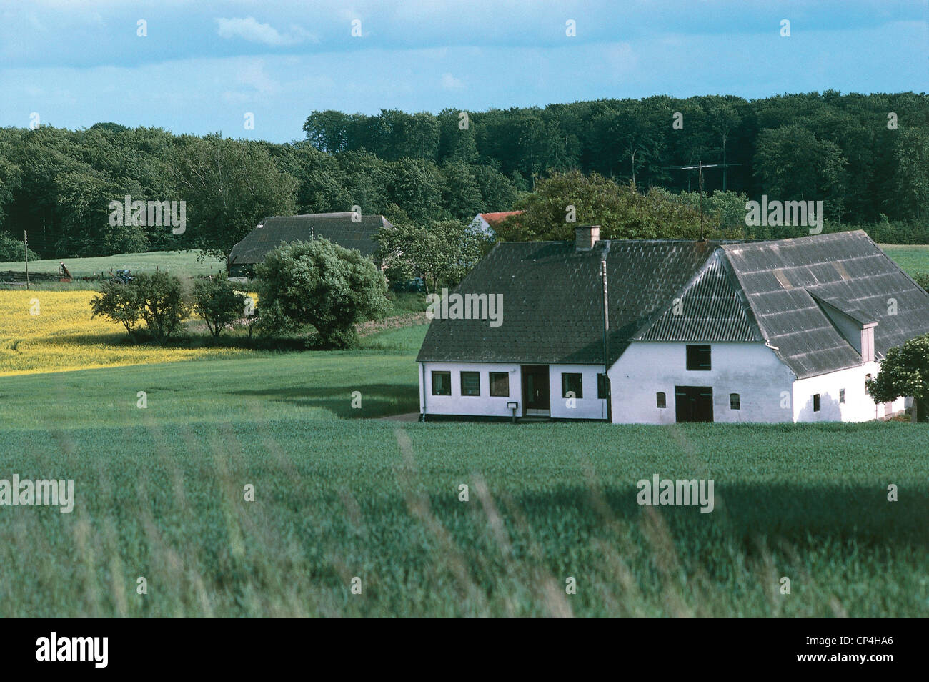 Denmark - Island of Funen (Fyn) - Farm Stock Photo - Alamy