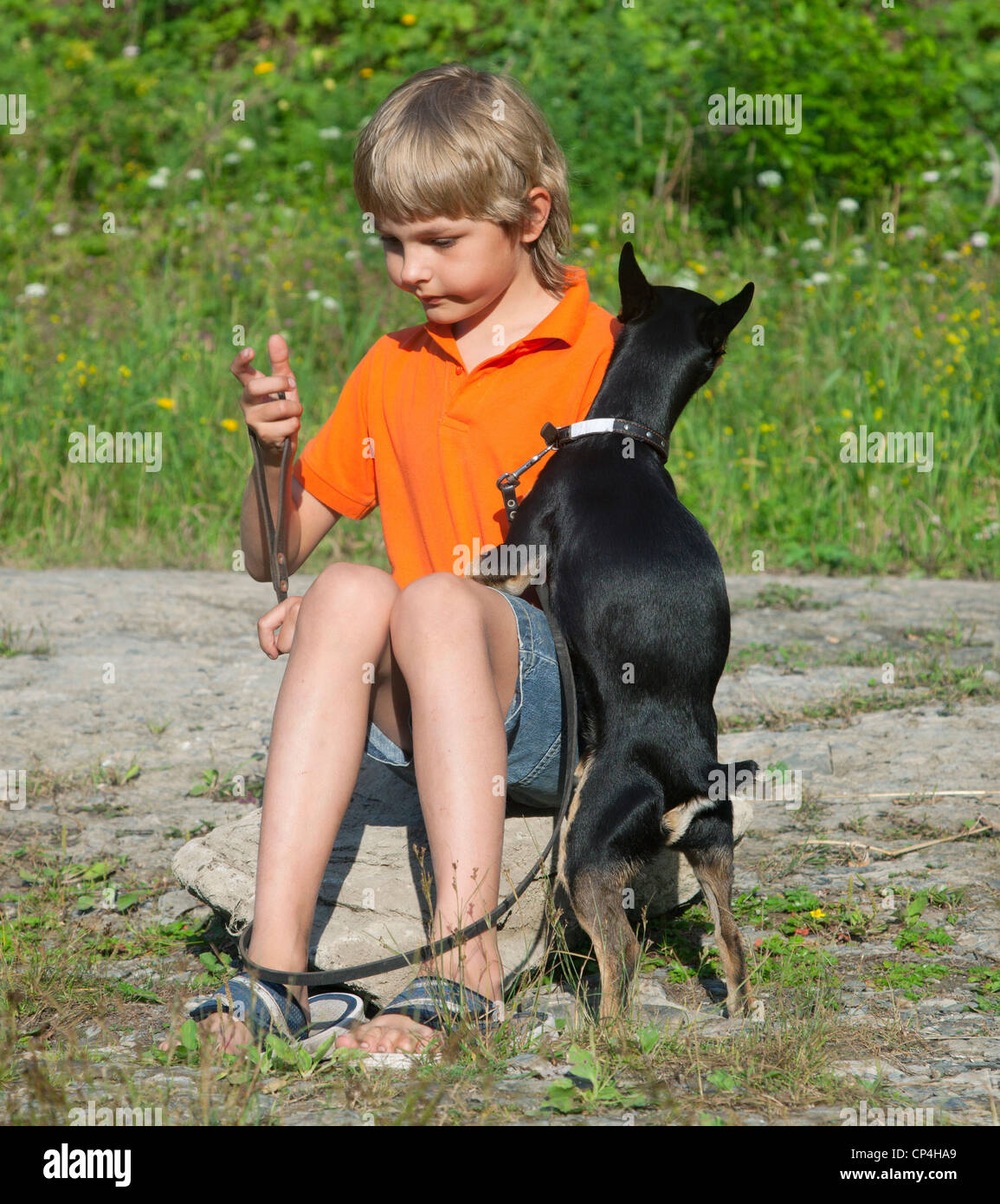 Boy and dog in nature. they are friends Stock Photo - Alamy