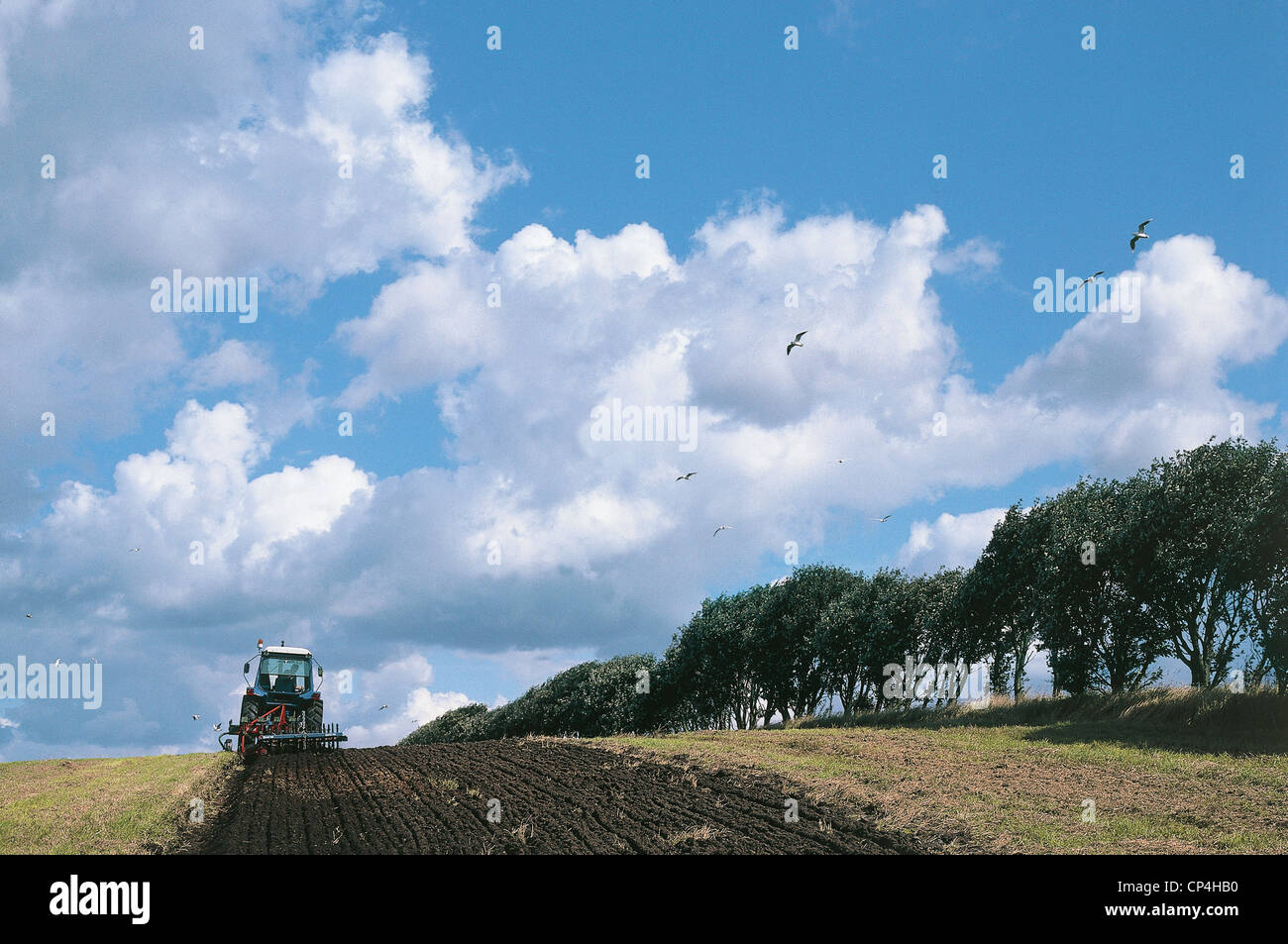 Denmark Farm Work Stock Photo - Alamy