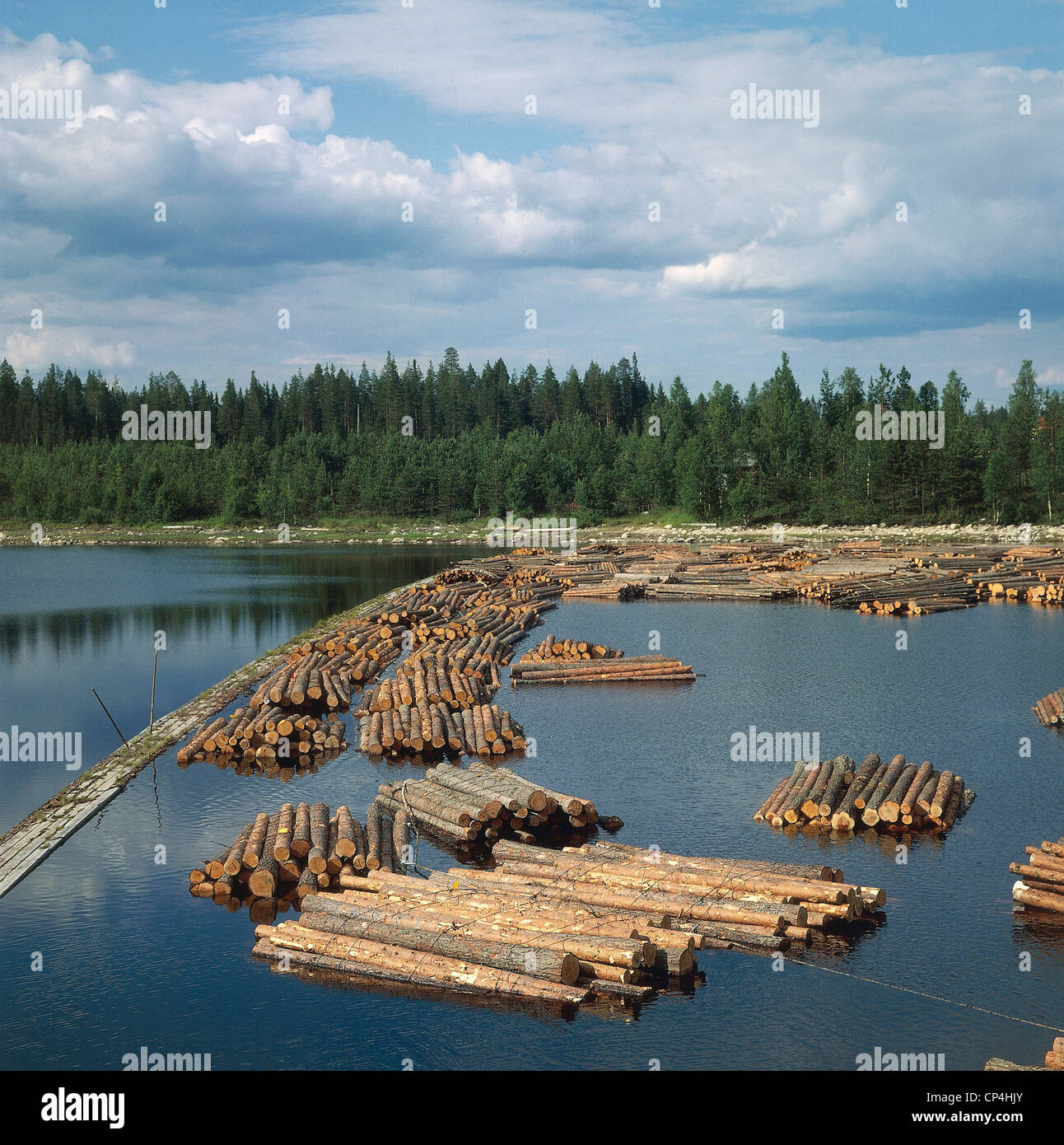 Finland - Ammansaari - rafting timber Stock Photo - Alamy