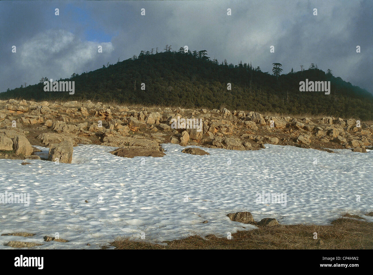 Morocco - Chain of the Middle Atlas - Mischliffen, snow Stock Photo - Alamy