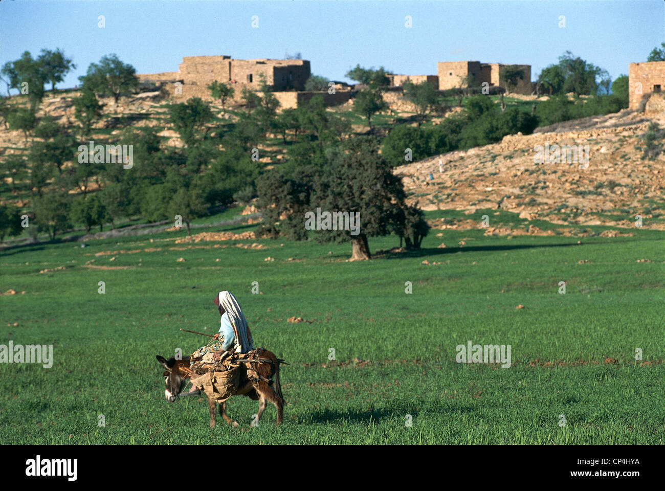 Morocco - Chain of the Middle Atlas - Around Tanannt Stock Photo - Alamy