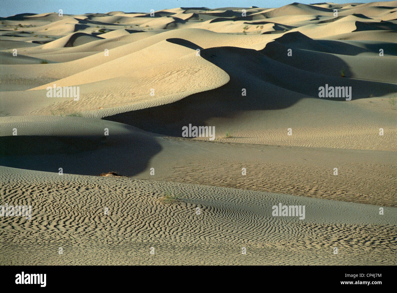 Algeria - Touggourt and Dune in the desert between El Oued Stock Photo ...