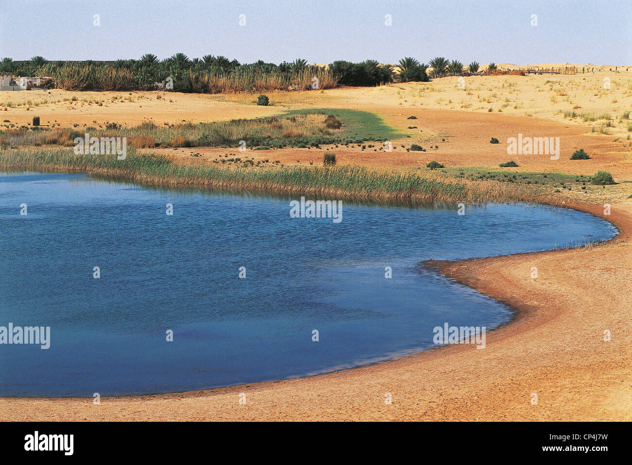 Souf hi-res stock photography and images - Alamy