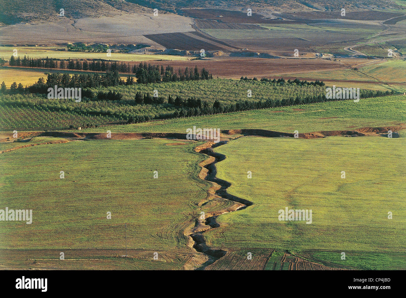 Frenda hi-res stock photography and images - Alamy