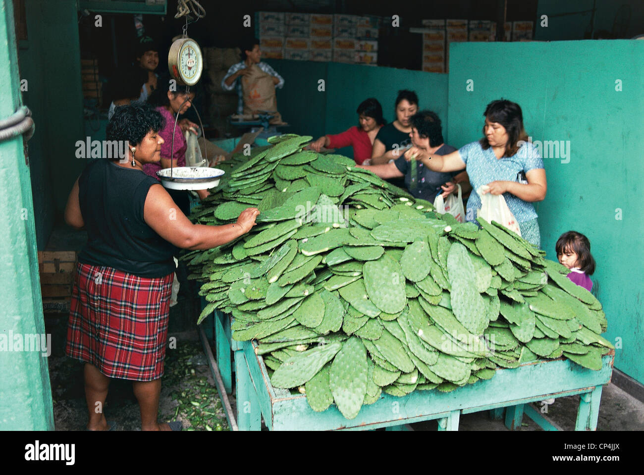 Nuevo leon cactus hi-res stock photography and images - Alamy