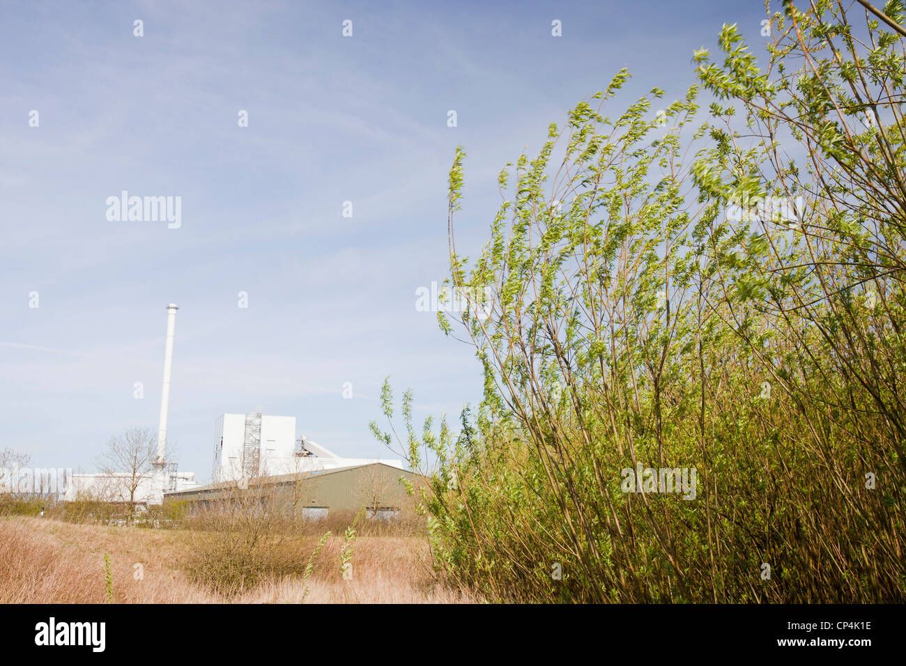 Stevens Croft biofuel power station in Lockerbie, Scotland, UK Stock ...