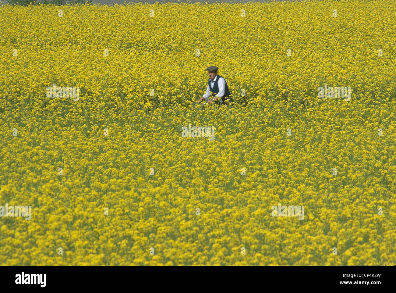 Domat ems hi-res stock photography and images - Alamy