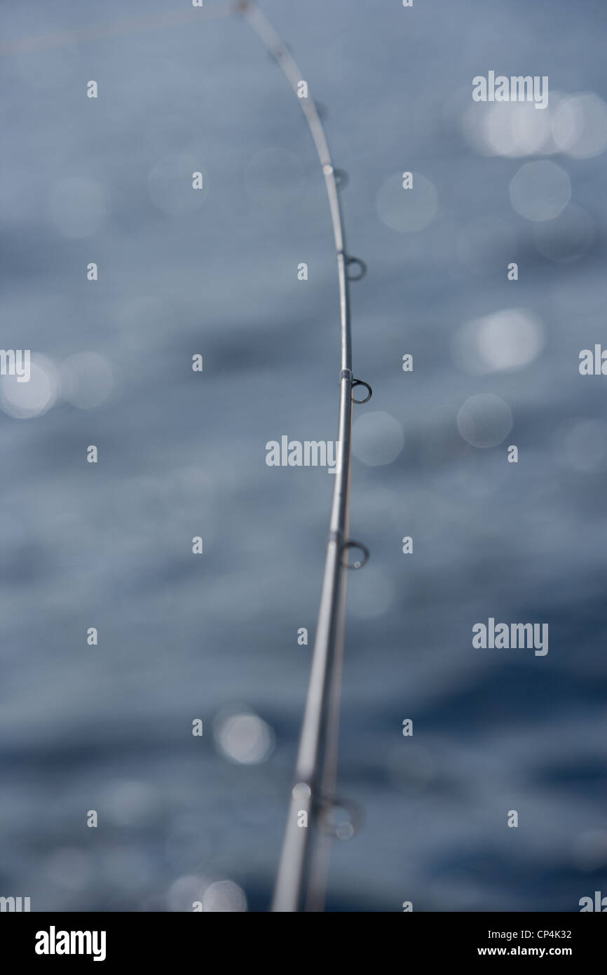 Fishing rod under stress Stock Photo - Alamy
