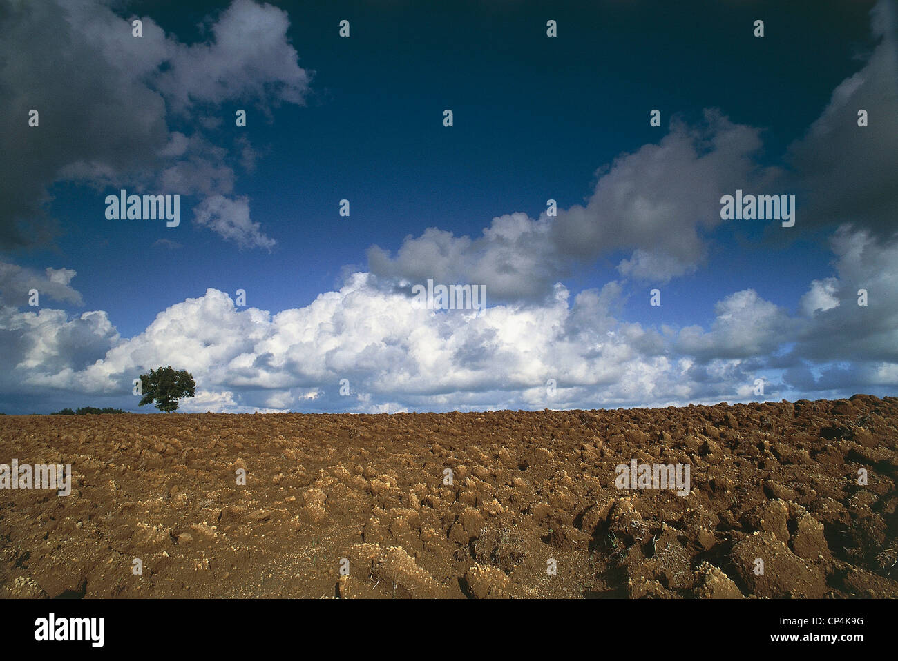 Tuscany - Pitigliano (Gr). Country Stock Photo - Alamy