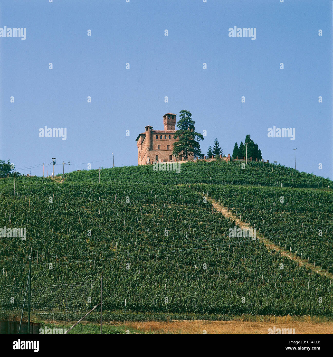 Piedmont - Langhe - Grinzane Cavour (Cn). The Castle Stock Photo - Alamy
