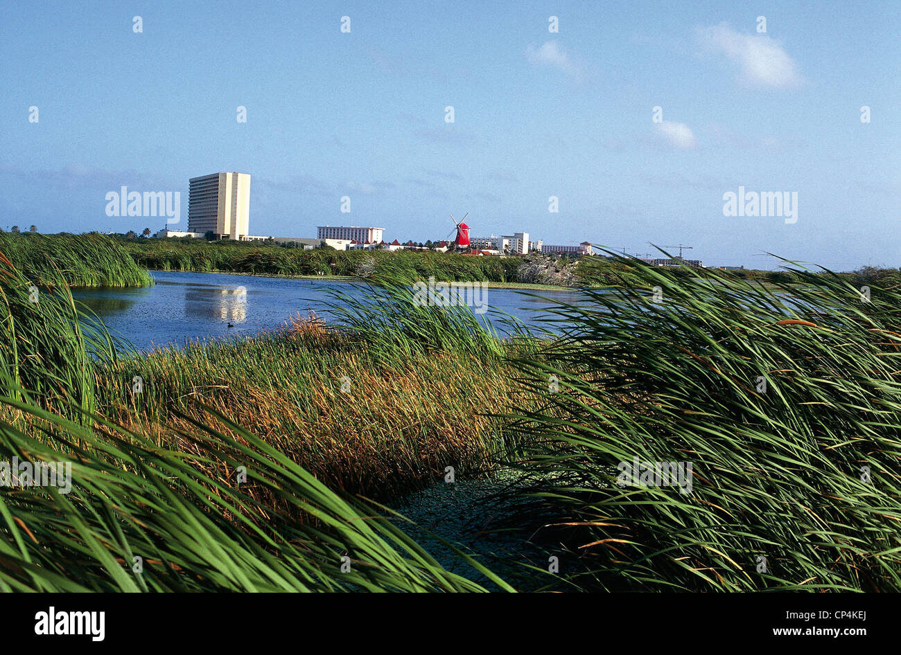 Nederland aruba hi-res stock photography and images - Alamy