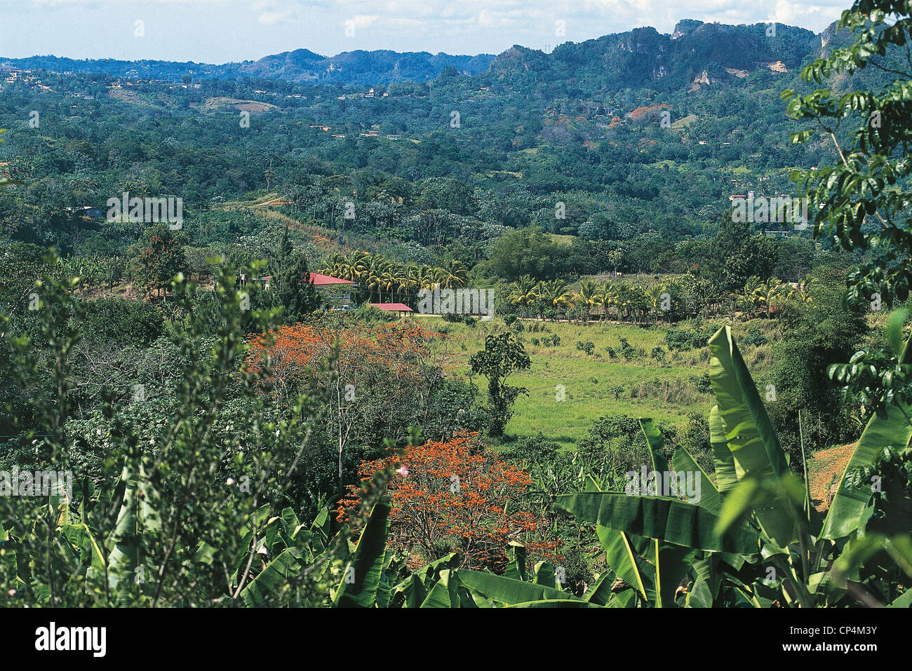 PUERTO RICO LANDSCAPE AROUND Utuado Stock Photo - Alamy