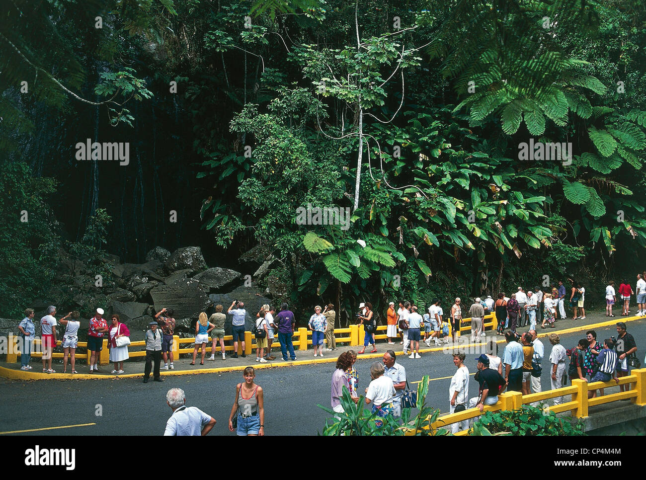 Puerto Rico - El Yunque National Park, rainforest. Tourists Stock Photo ...