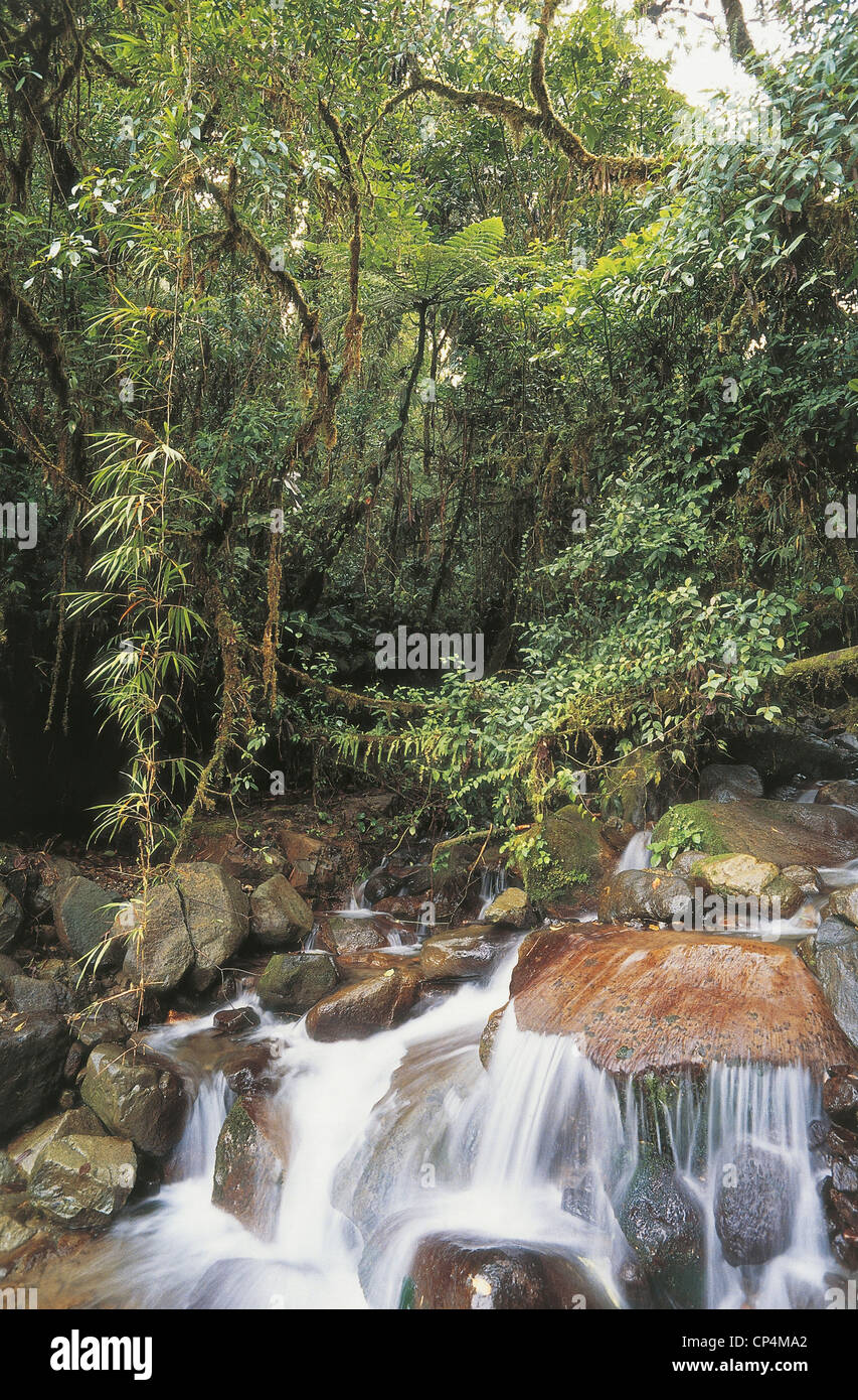 Costa Rica - Orosi National Park (Tapanti Stock Photo - Alamy
