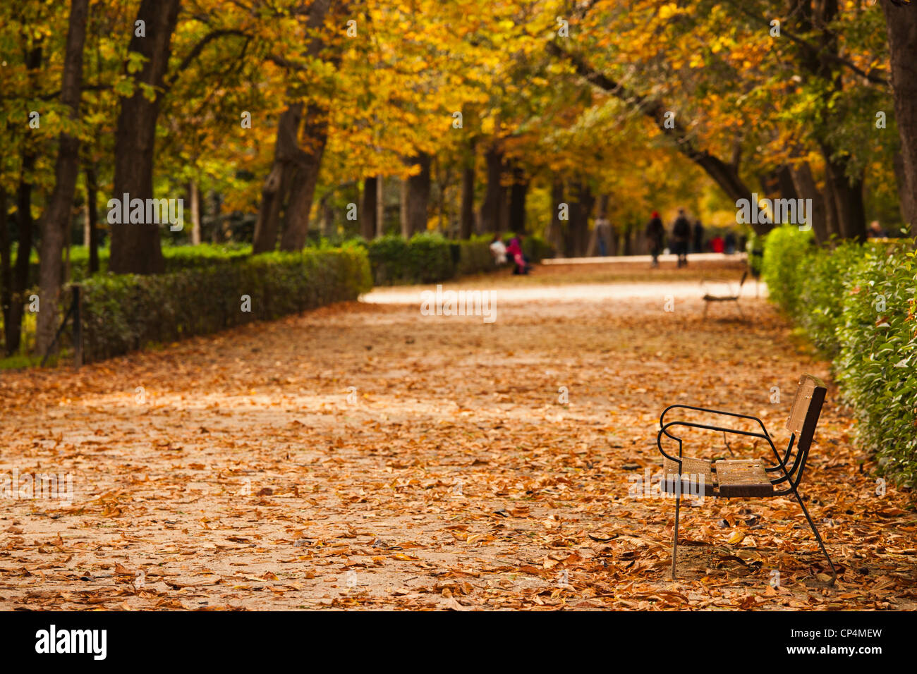 Spain, Madrid, Parque del Buen Retiro park, fall foliage Stock Photo ...