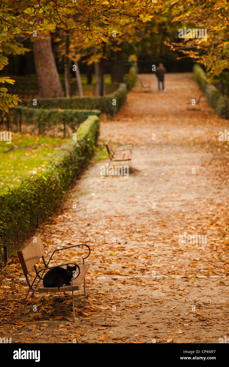 Spain, Madrid, Parque del Buen Retiro park, fall foliage Stock Photo ...