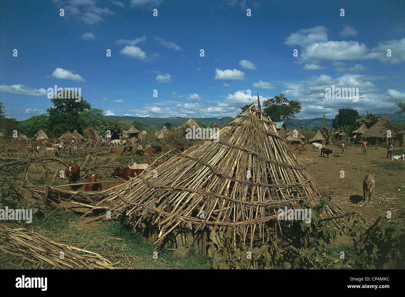 Ethiopia - Rift Valley - hut in a village of the ethnic group Gidole ...