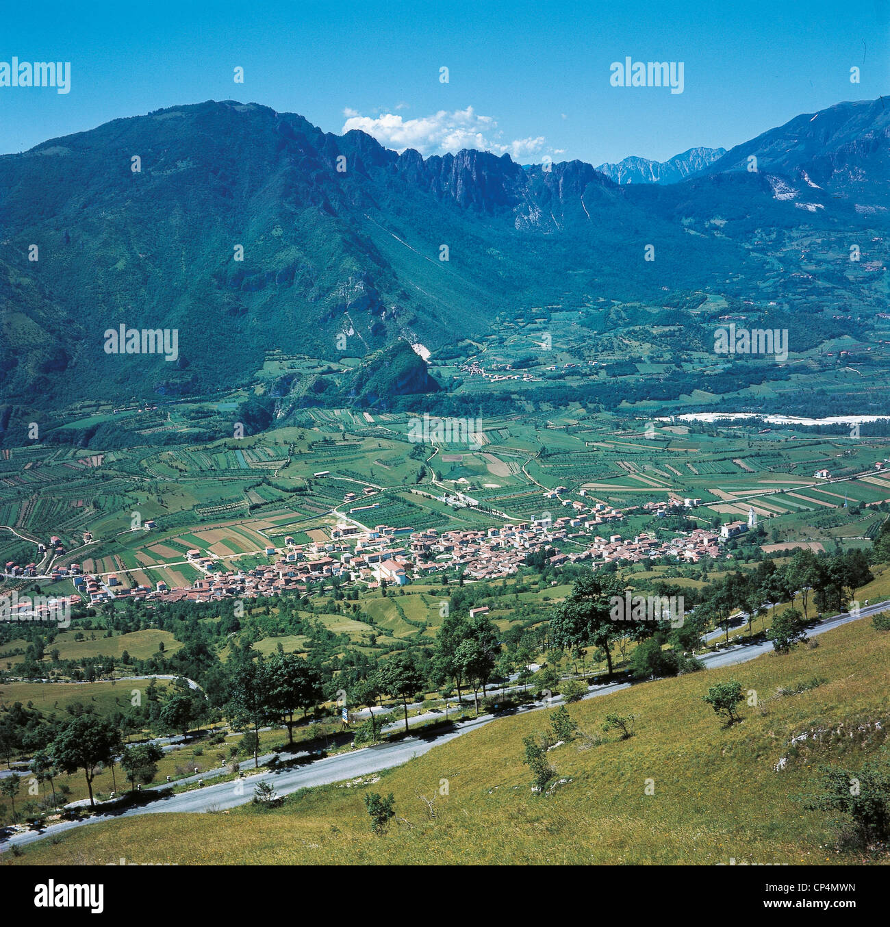 Cogollo hi-res stock photography and images - Alamy