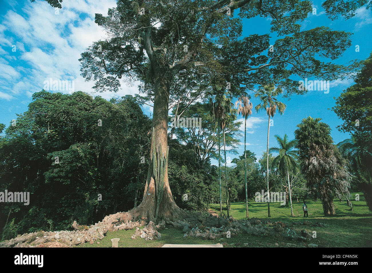UGANDA, Entebbe. BOTANICAL GARDEN Stock Photo - Alamy