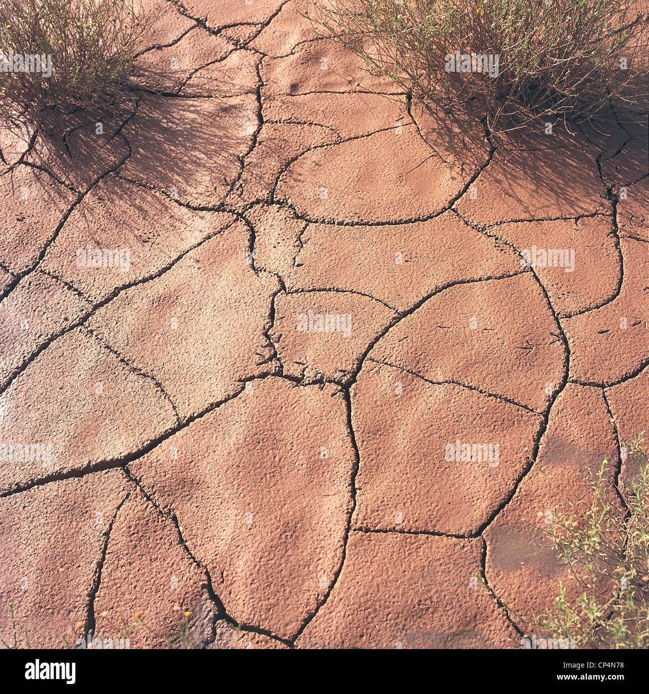 Especially the soil hi-res stock photography and images - Alamy