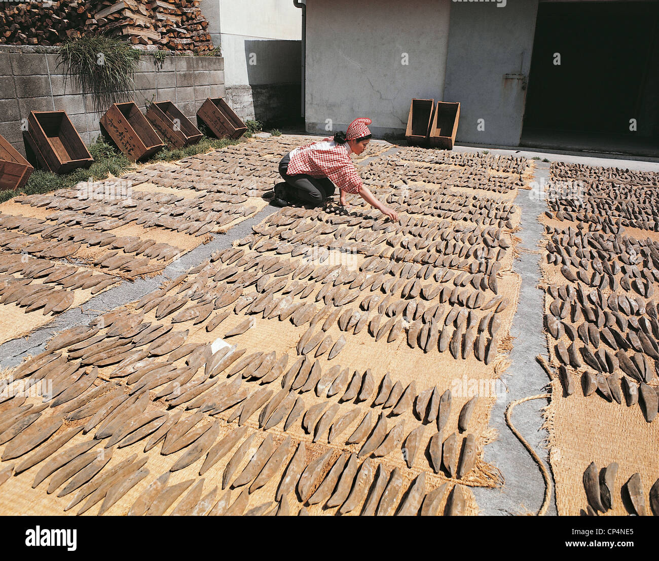 Kagoshima JAPAN FISH DRYING Stock Photo - Alamy