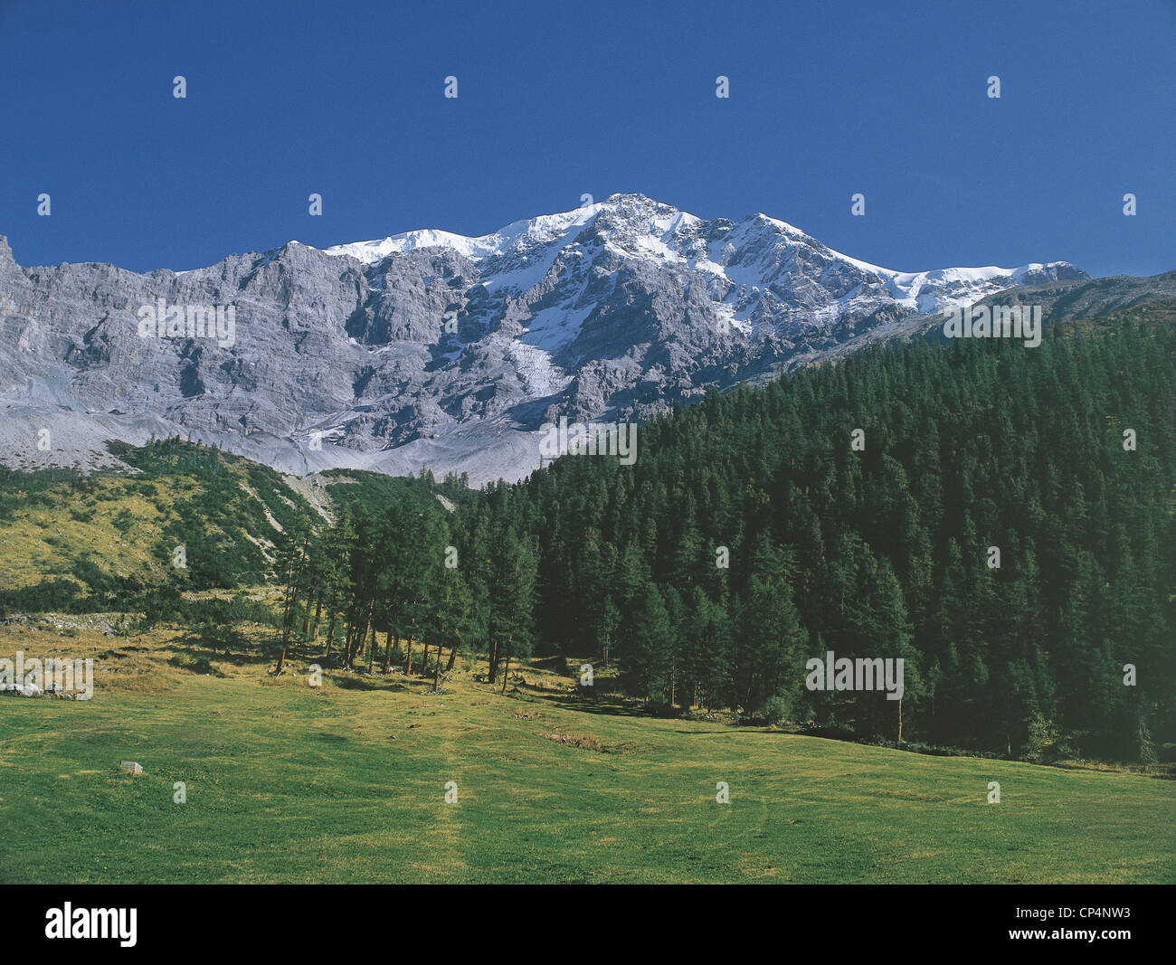 Grand zebru hi-res stock photography and images - Alamy