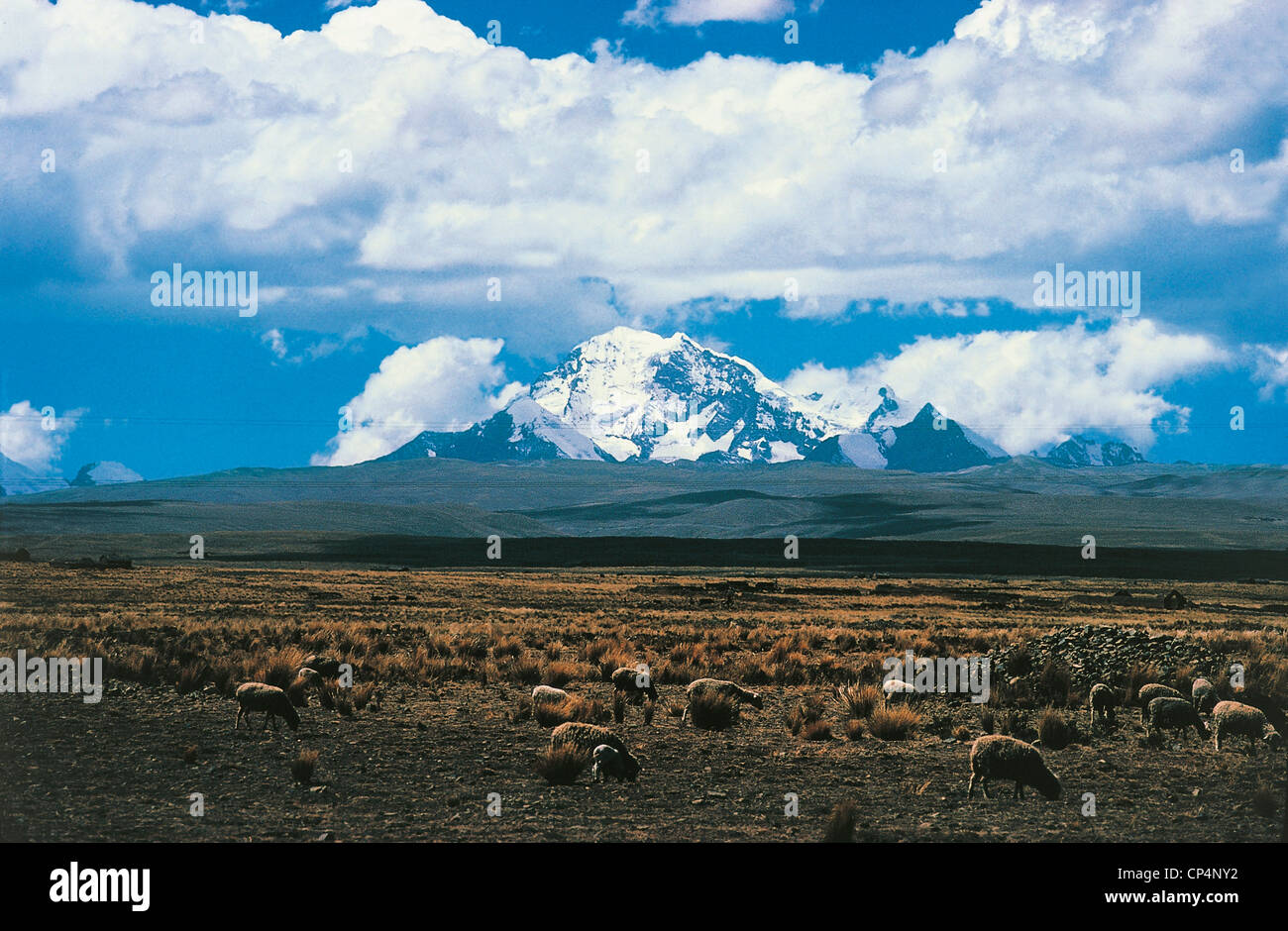 CORDILLERA REAL, BOLIVIA The Illampu ANCOHUMA Stock Photo - Alamy