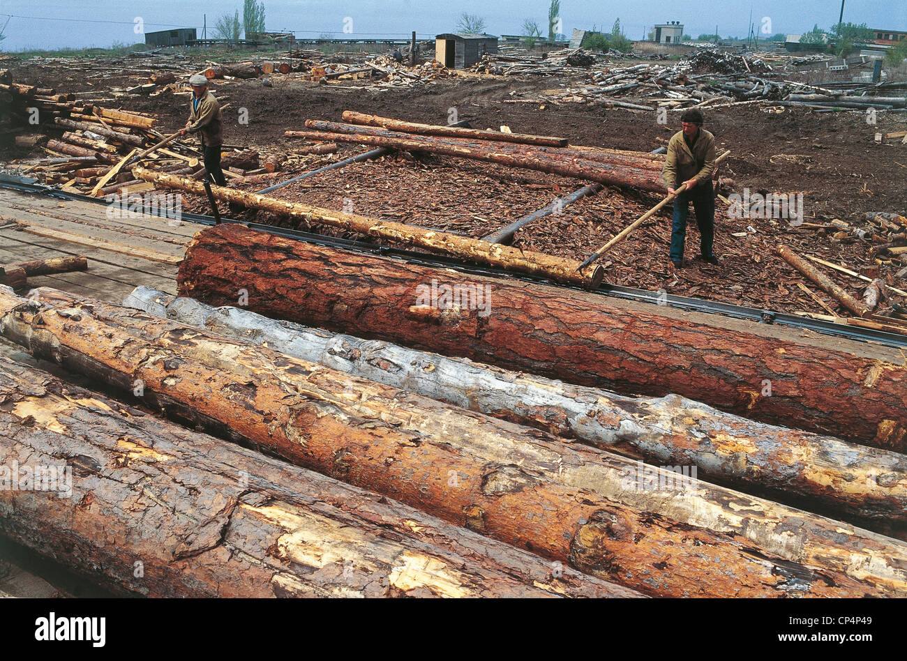 Russia - Wood, log cutting Stock Photo - Alamy