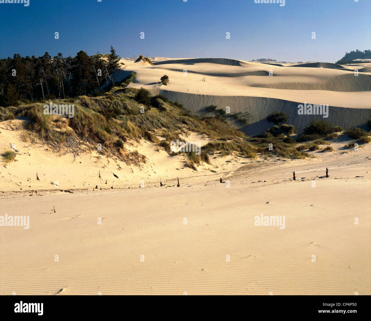 United States of America - Oregon. Dunes in the desert Stock Photo - Alamy