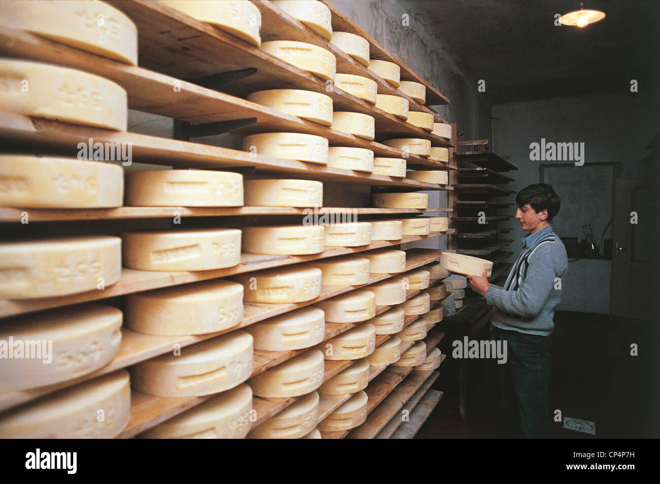 Friuli Carnico Prato Cheese Ripening Stock Photo - Alamy