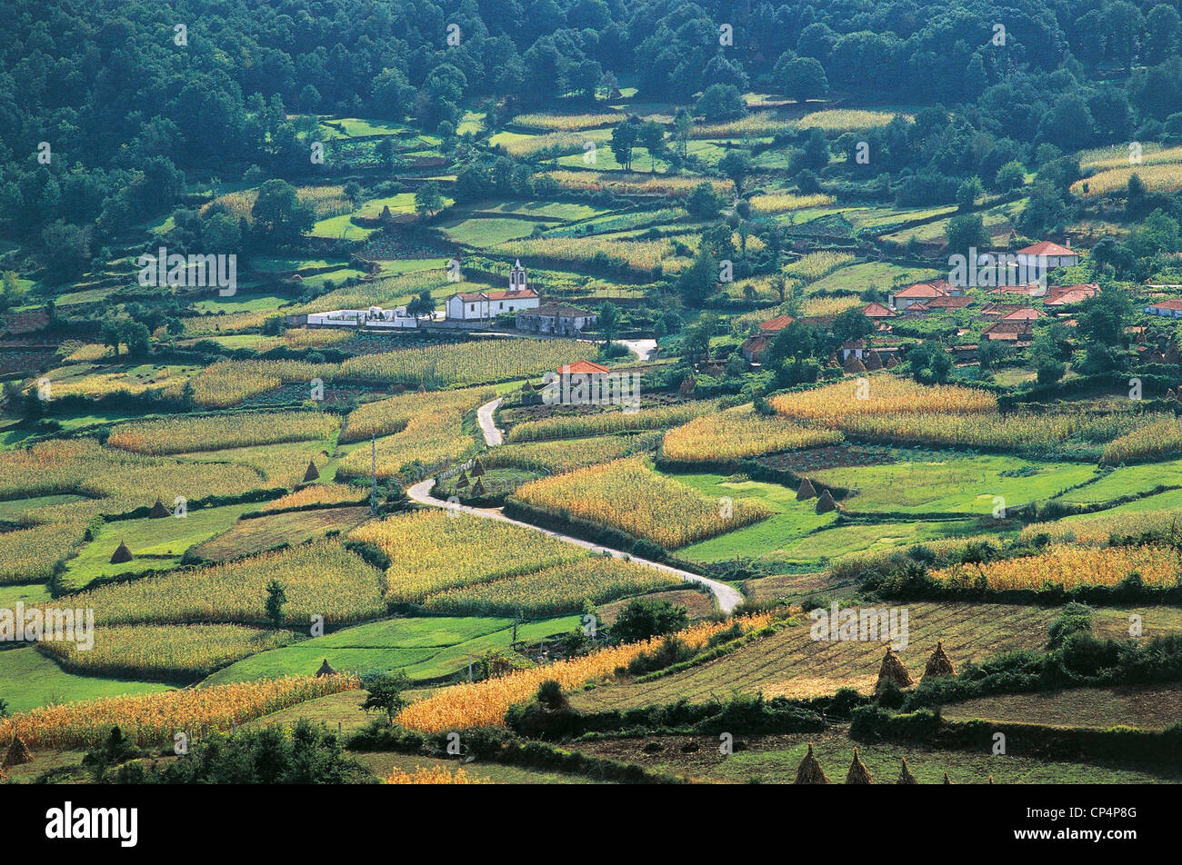 Portugal Minho Crops Stock Photo - Alamy