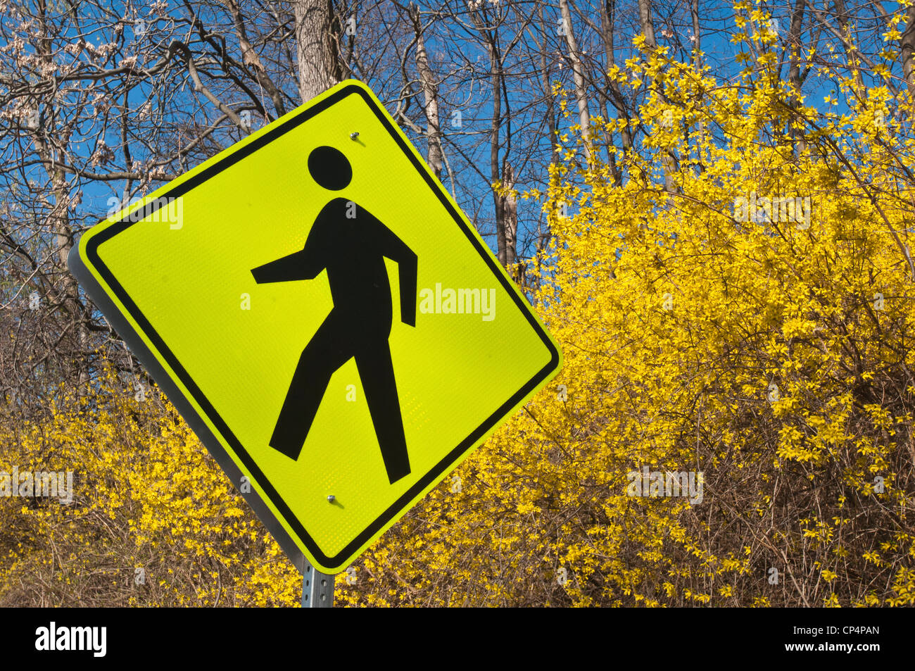 W11-2 - Pedestrian Warning US sign with person silhouette on the yellow ...