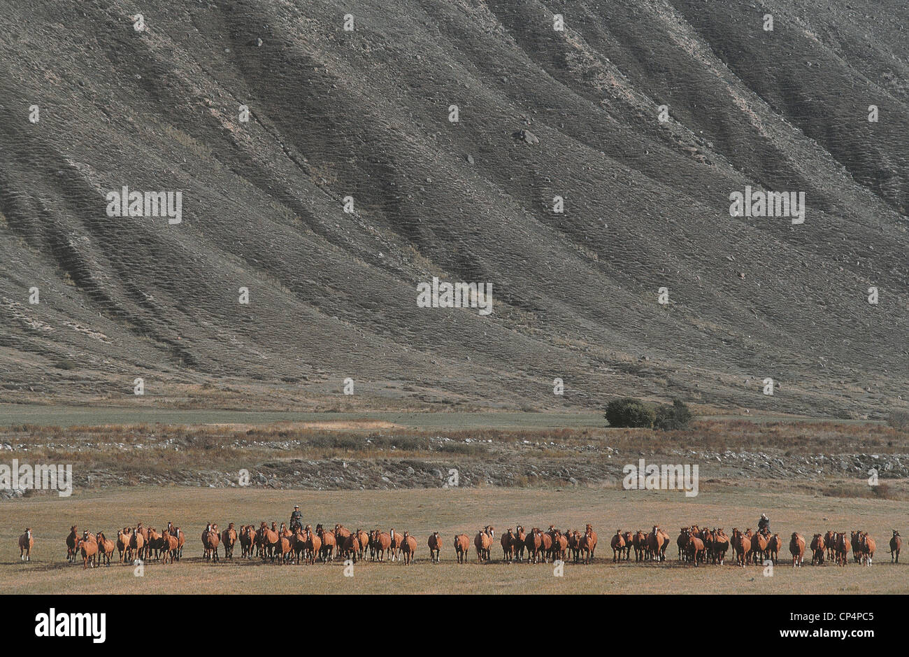 Talas region hi-res stock photography and images - Alamy