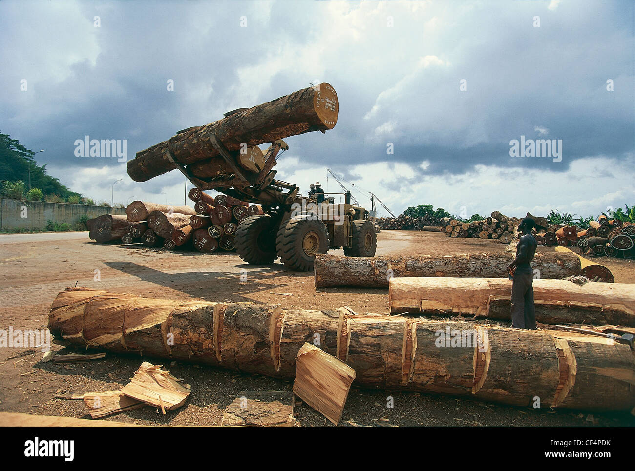 Cote d'Ivoire - Abidjan - Export timber Stock Photo - Alamy