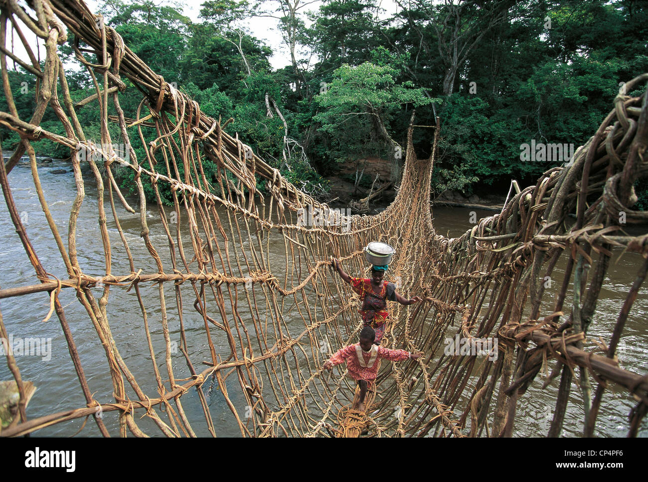 Ivory Coast - Region of lianas Man Bridge on the River Cavally Stock ...